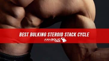 The Extensive guide on best bulking steroid stack cycle - Anabolic Coach