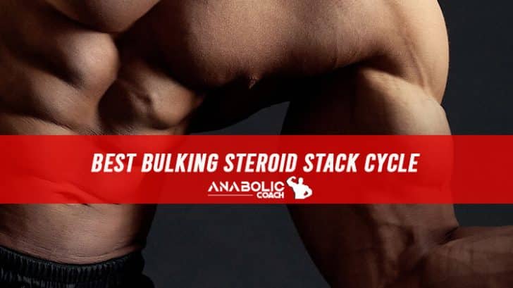 The Extensive guide on best bulking steroid stack cycle - Anabolic Coach