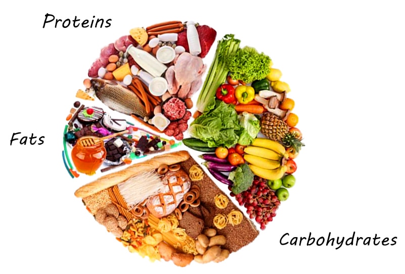 How Do Bodybuilders Build Muscle With Diet? - Anabolic Coach