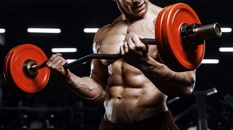 Améliorez votre force musculaire et votre endurance avec l'entraînement ...