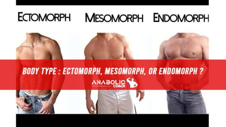 Che tipo di corpo hai? Ectomorfo, mesomorfo o endomorfo? - Anabolic Coach